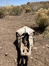 Everything Thru-hikers Need to Know About the Continental Divide Trail ...