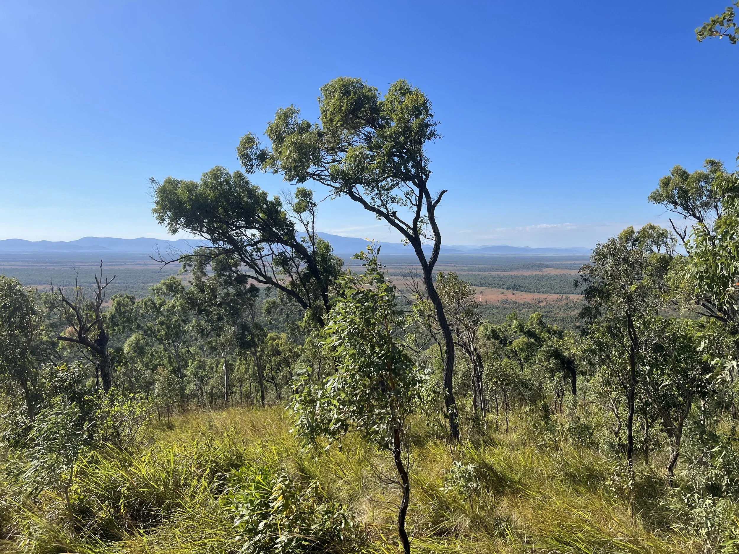 Mt Challenger Wind Farm