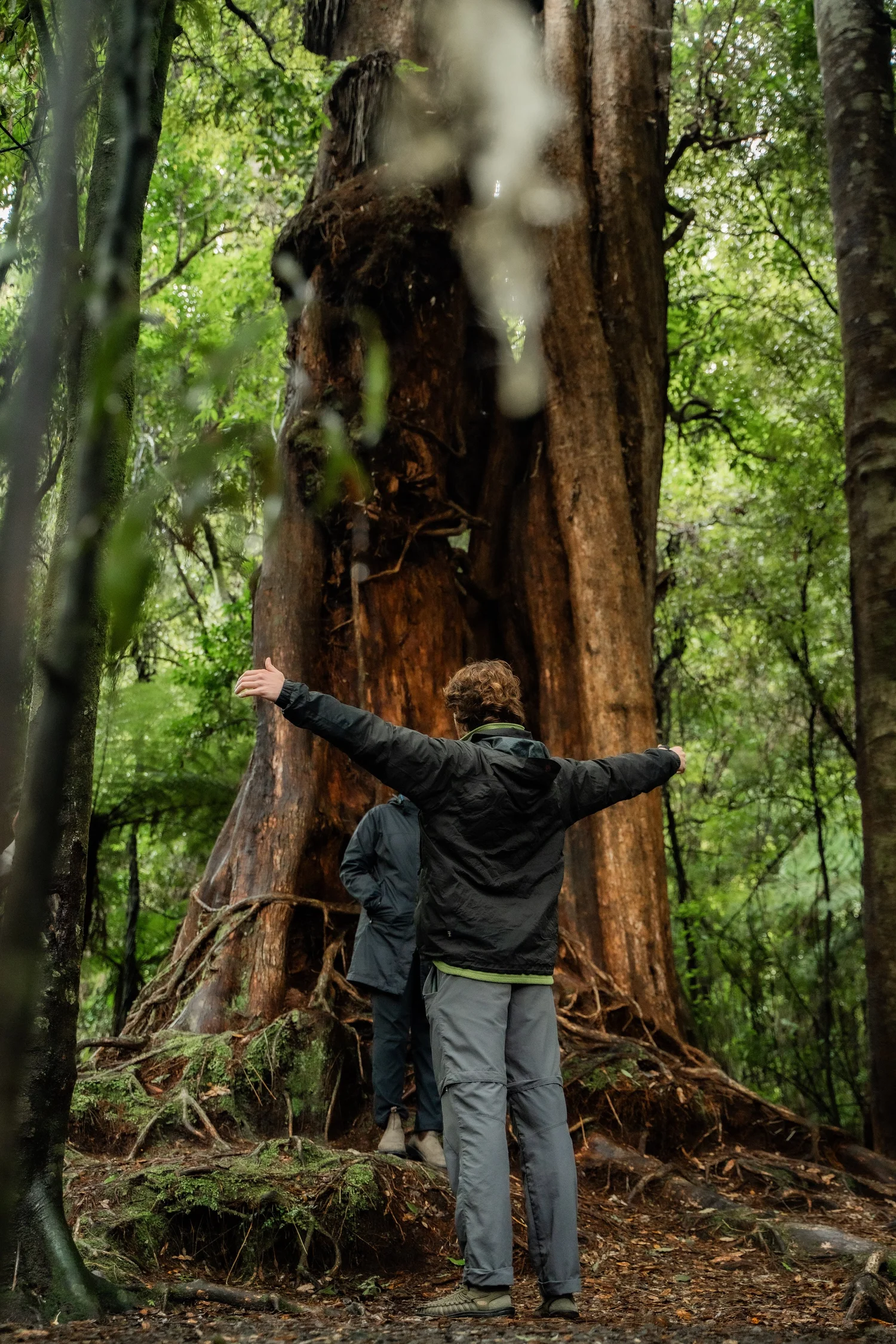 Explore in Upper Hutt — My Upper Hutt — Explore, Taste, Shop & Do