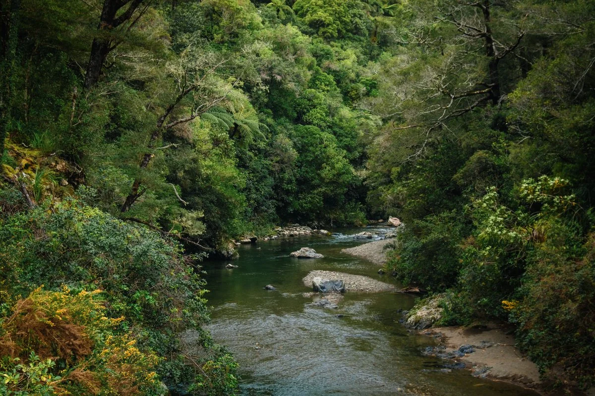 Kaitoke Regional Park — My Upper Hutt — Explore, Taste, Shop & Do