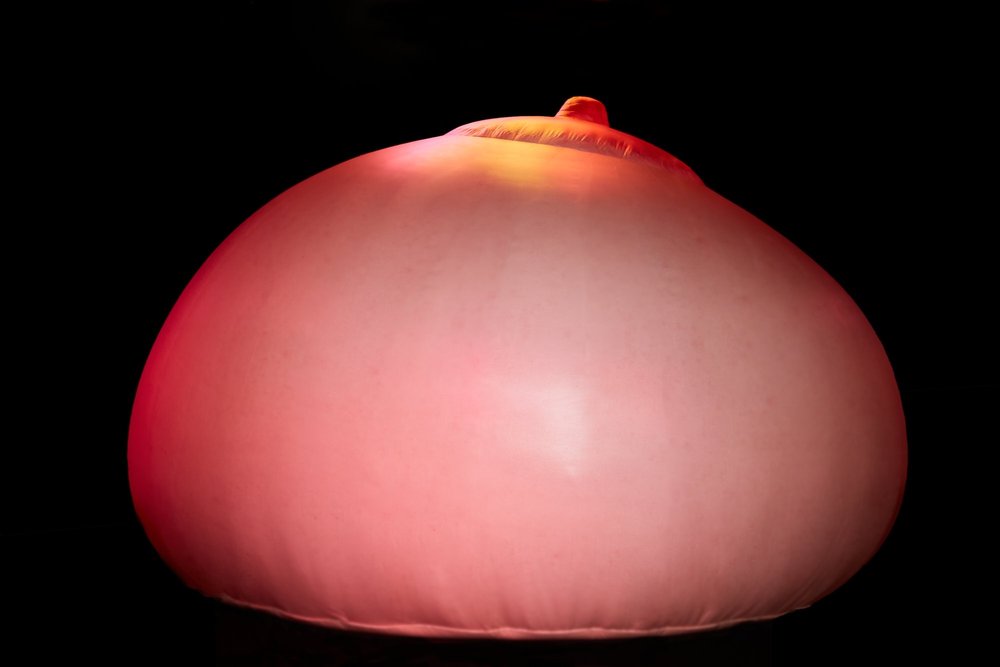 Exhibition — Goodbye Breasts!