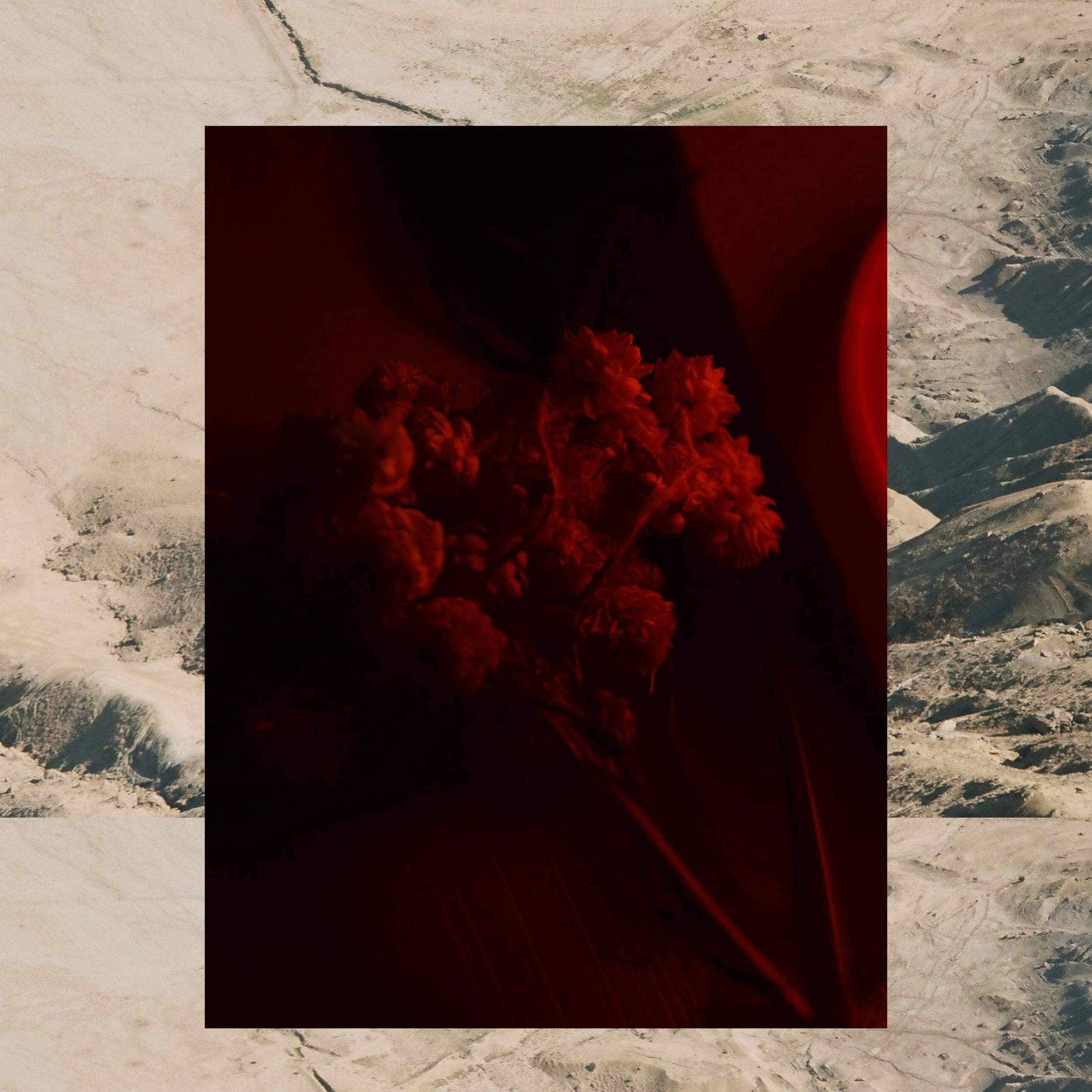 Brahms x Radiohead — Steve Hackman