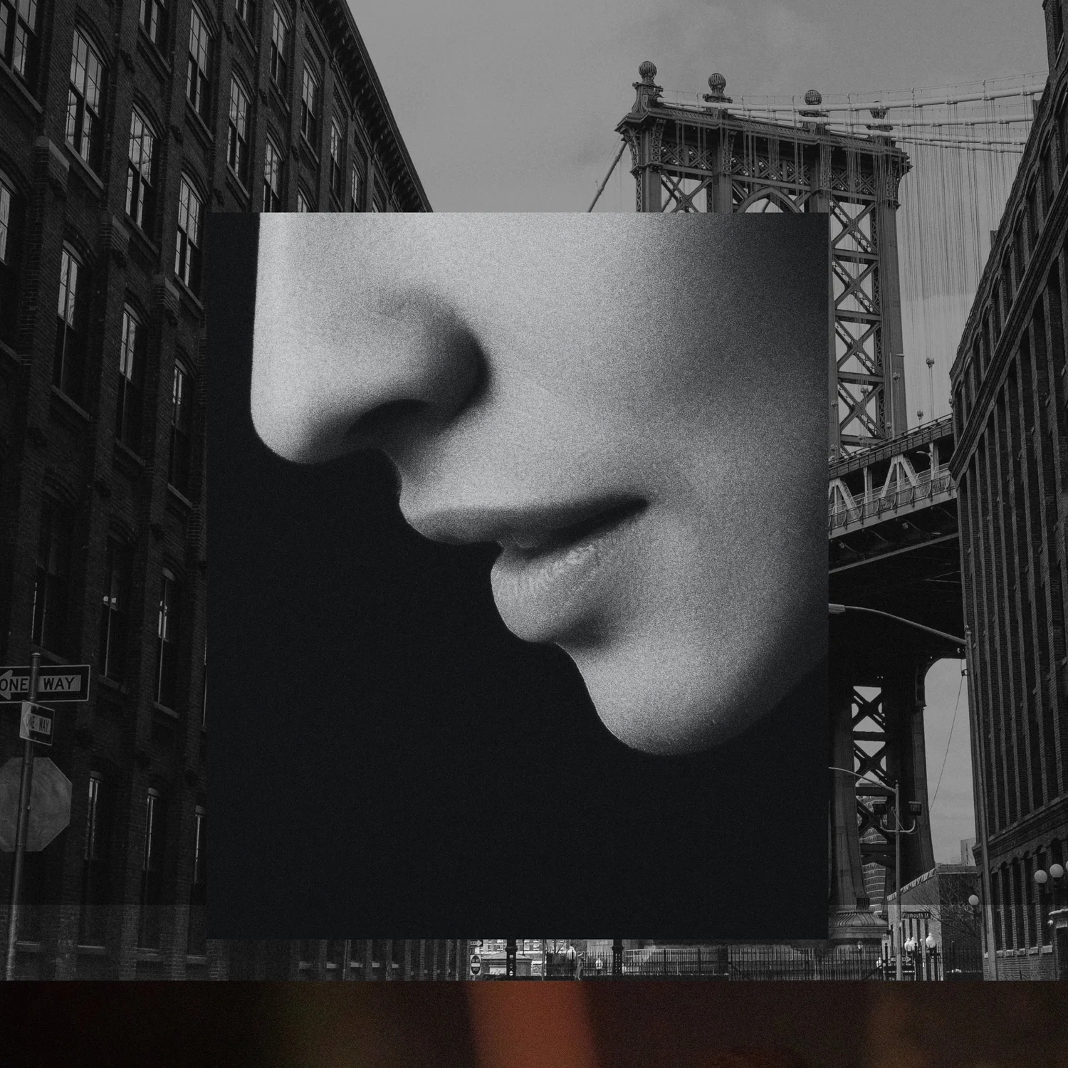 Fusions — Steve Hackman