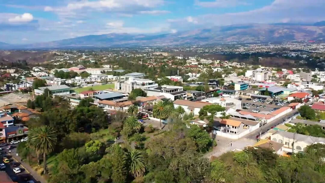 Pelíkano | Libera tus sentidos