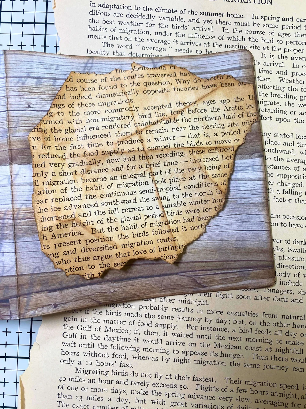 Mini Tag Pockets — Elizabeth Craft Designs Blog