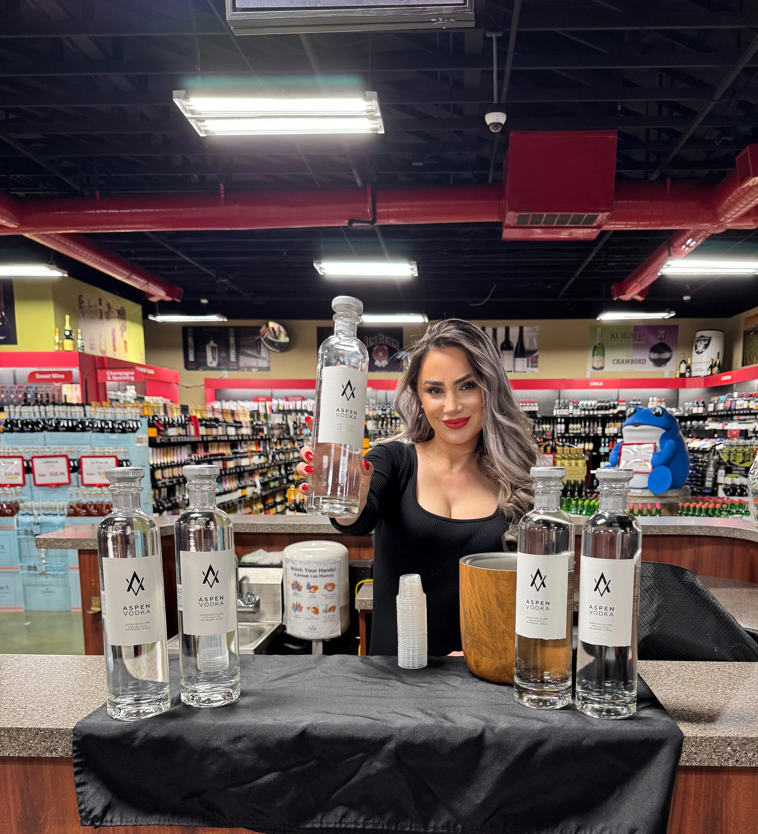 Aspen Vodka, 2025 — AB Model Management