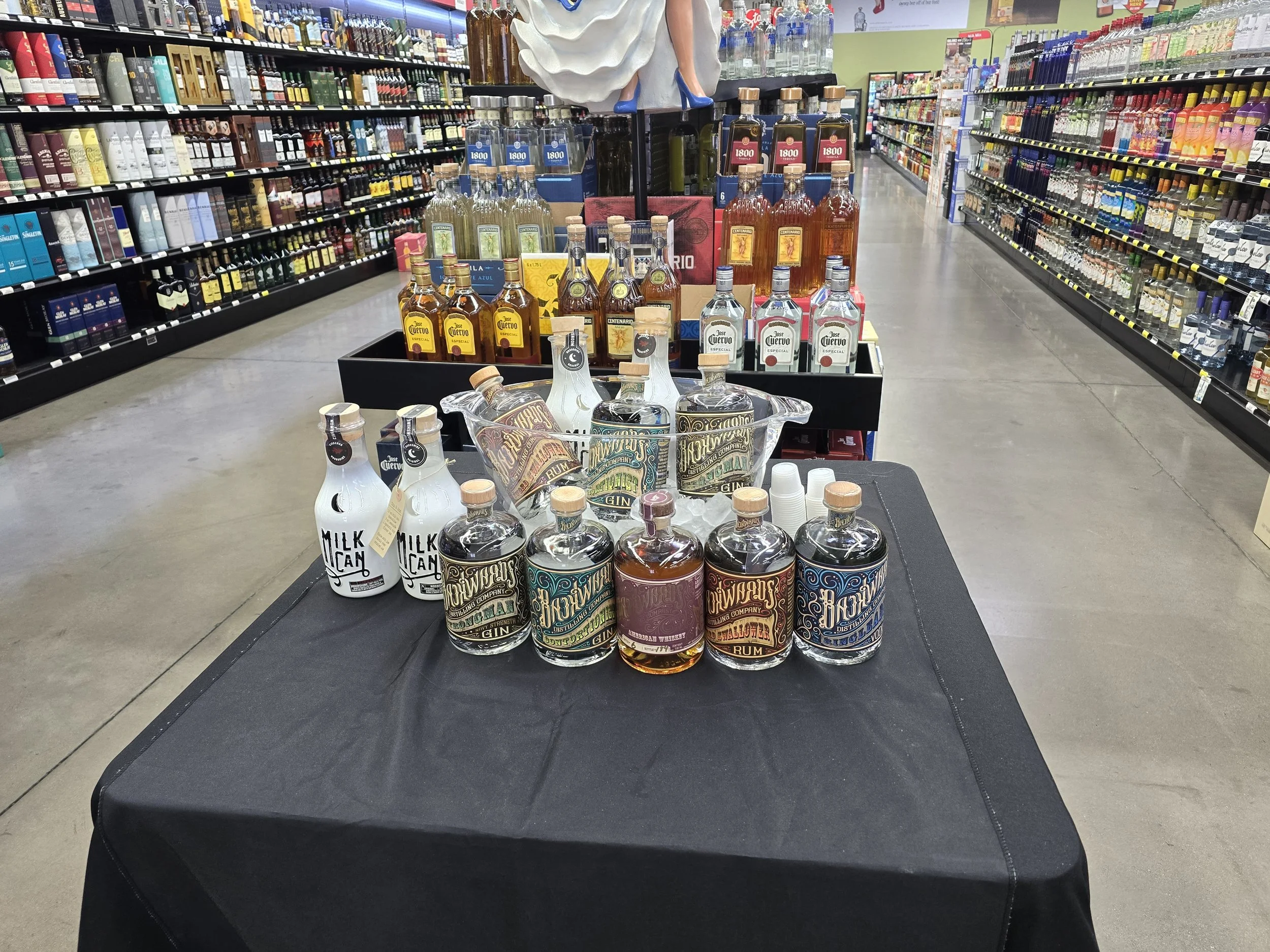 Backwards, 2024 — AB Model Management