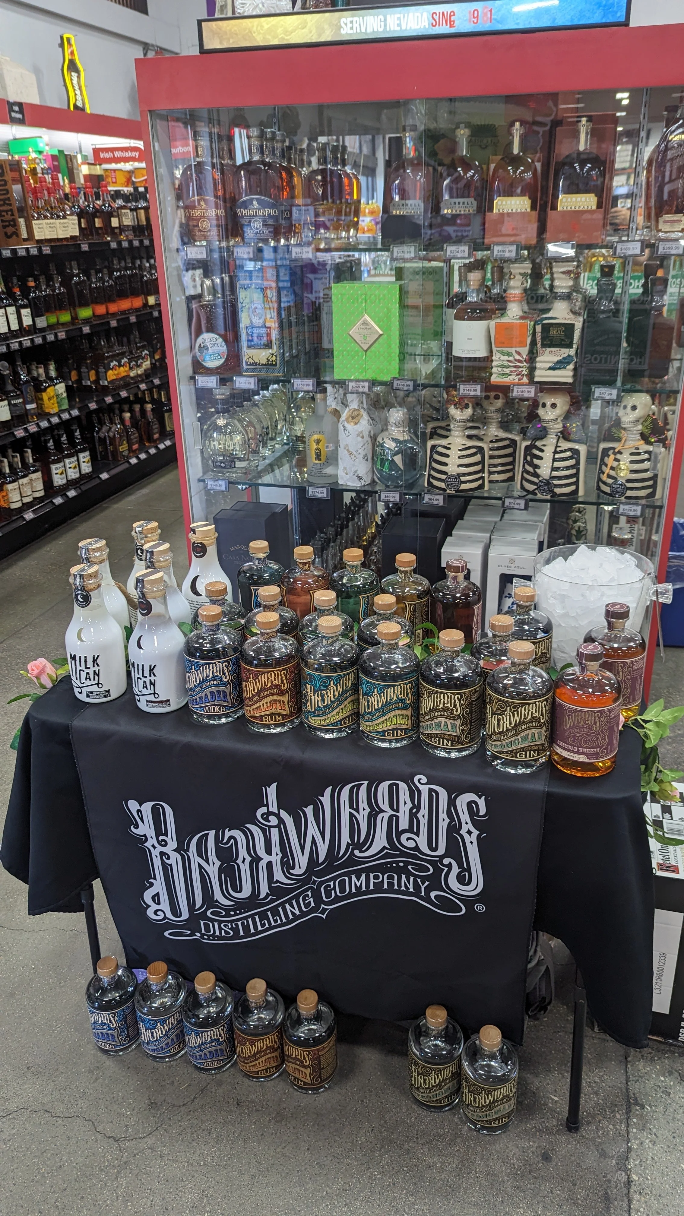 Backwards, 2024 — AB Model Management