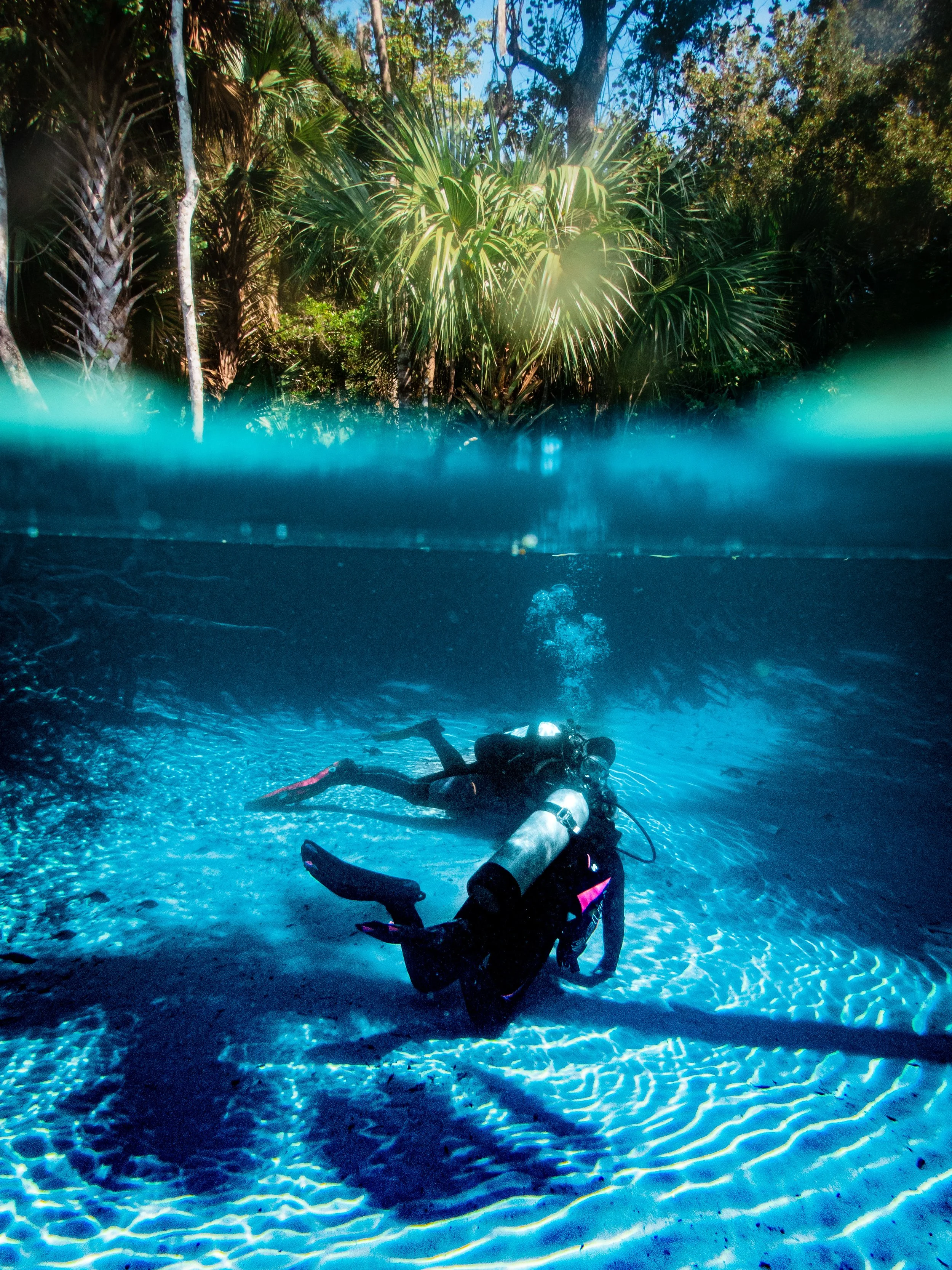 Open Water SCUBA DIving Certification — Spring Run Diving