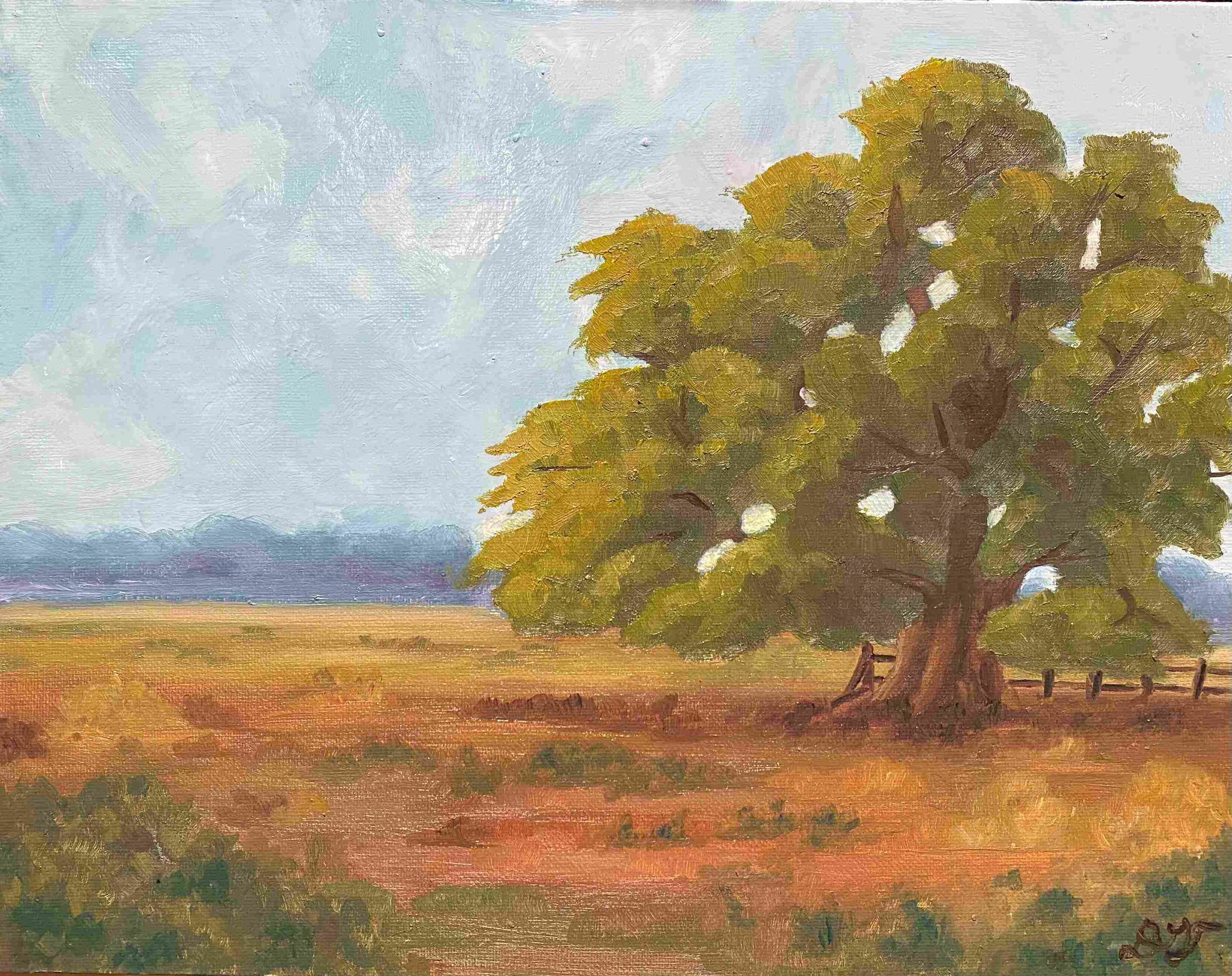 Lone Tree - Print — Dakota G. Thompson