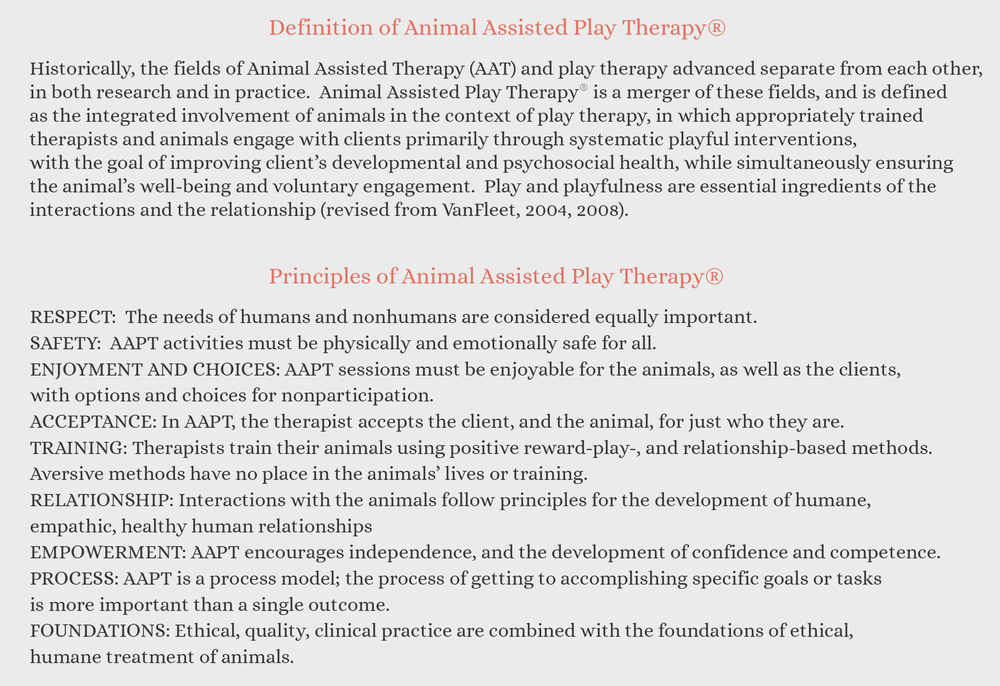 Why I love Animal Assisted Play Therapy® — Ensemble Therapy