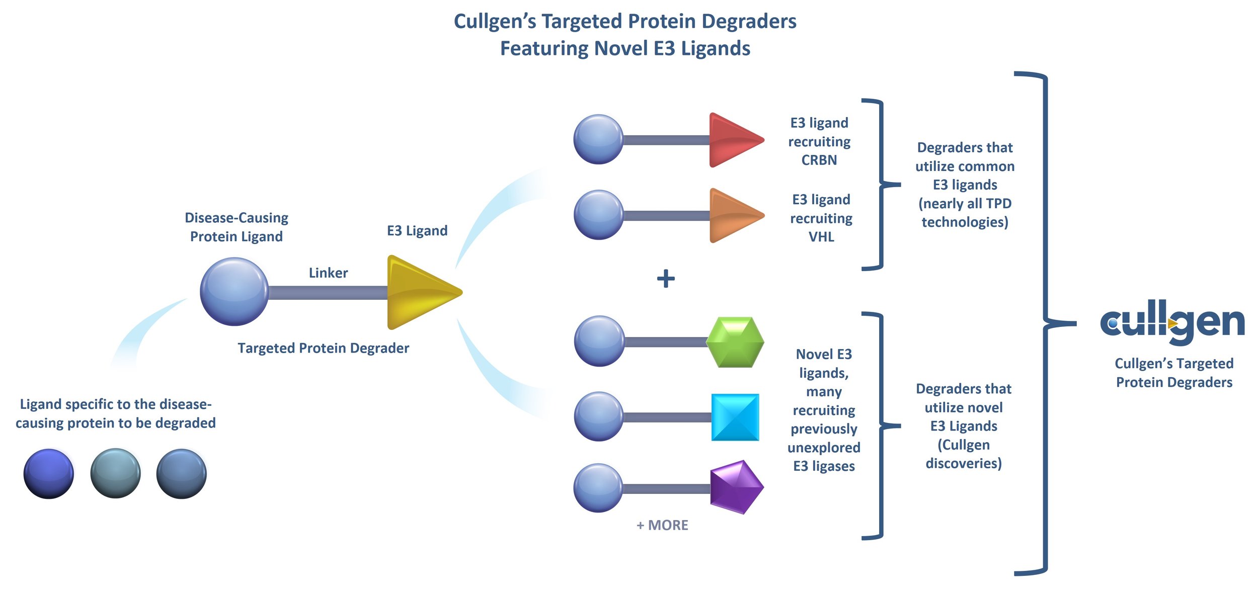 Novel E3 Ligands — Cullgen