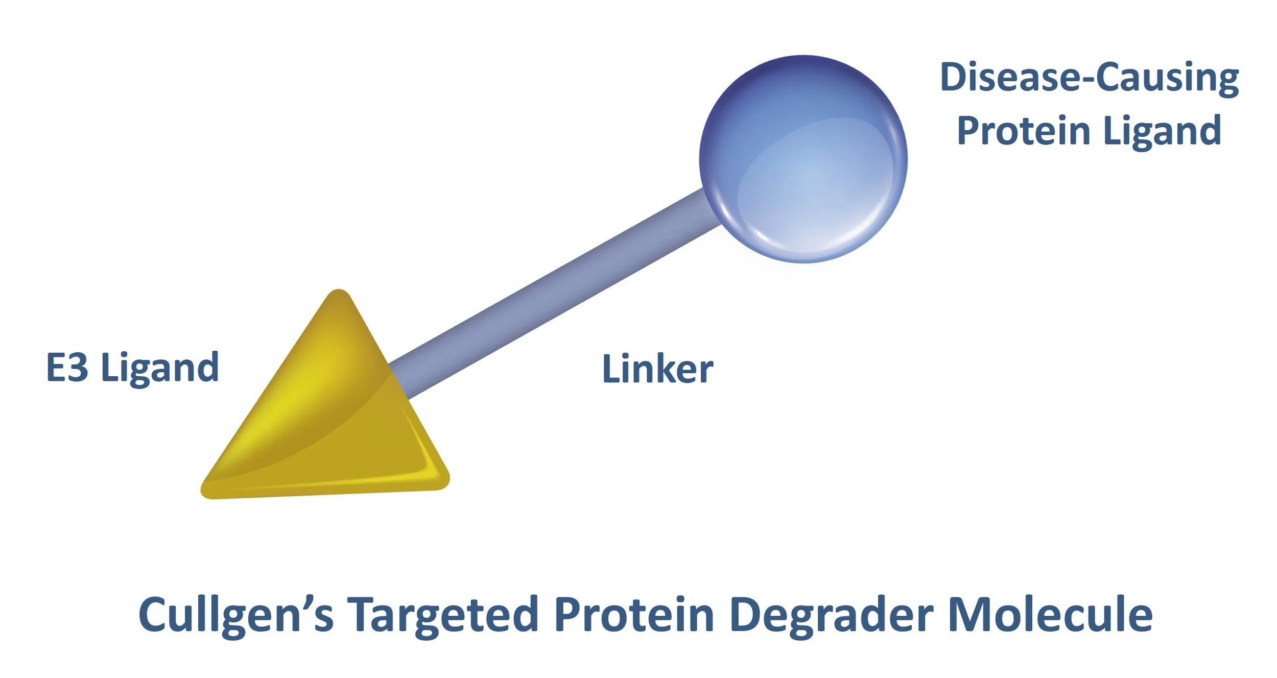 Protein Degradation — Cullgen