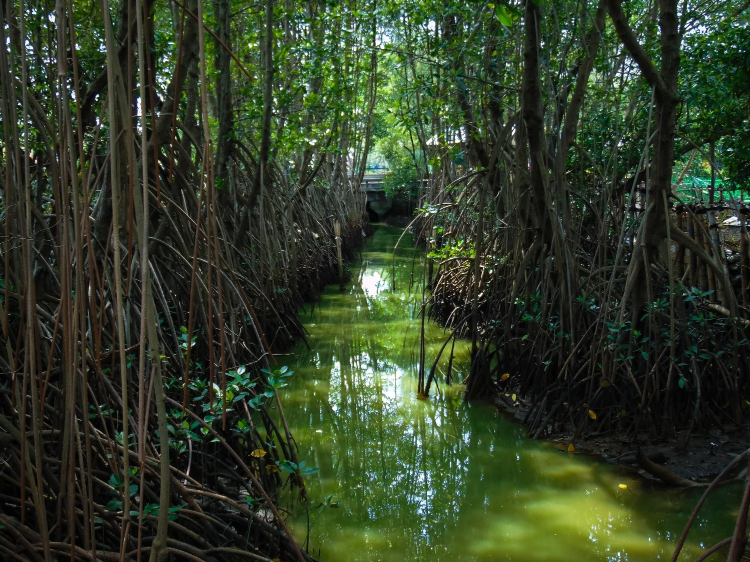 Investigation of Hydrologic 'Fishbone' Method: A Case Study of India's ...