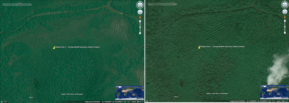 Investigation of Hydrologic 'Fishbone' Method: A Case Study of India's ...