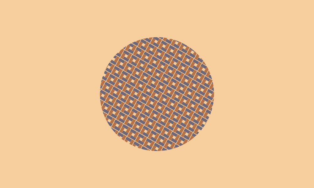 Asian Restaurant & Bar Bondi Beach | Easy Tiger