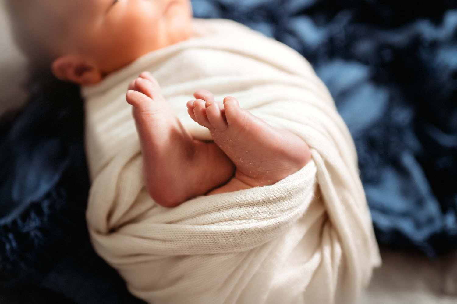 Newborn Portraits — Syracuse Photographer