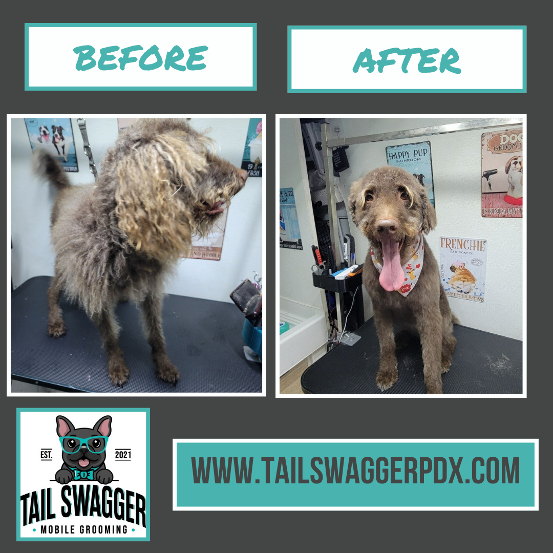 Before/After — Tail Swagger