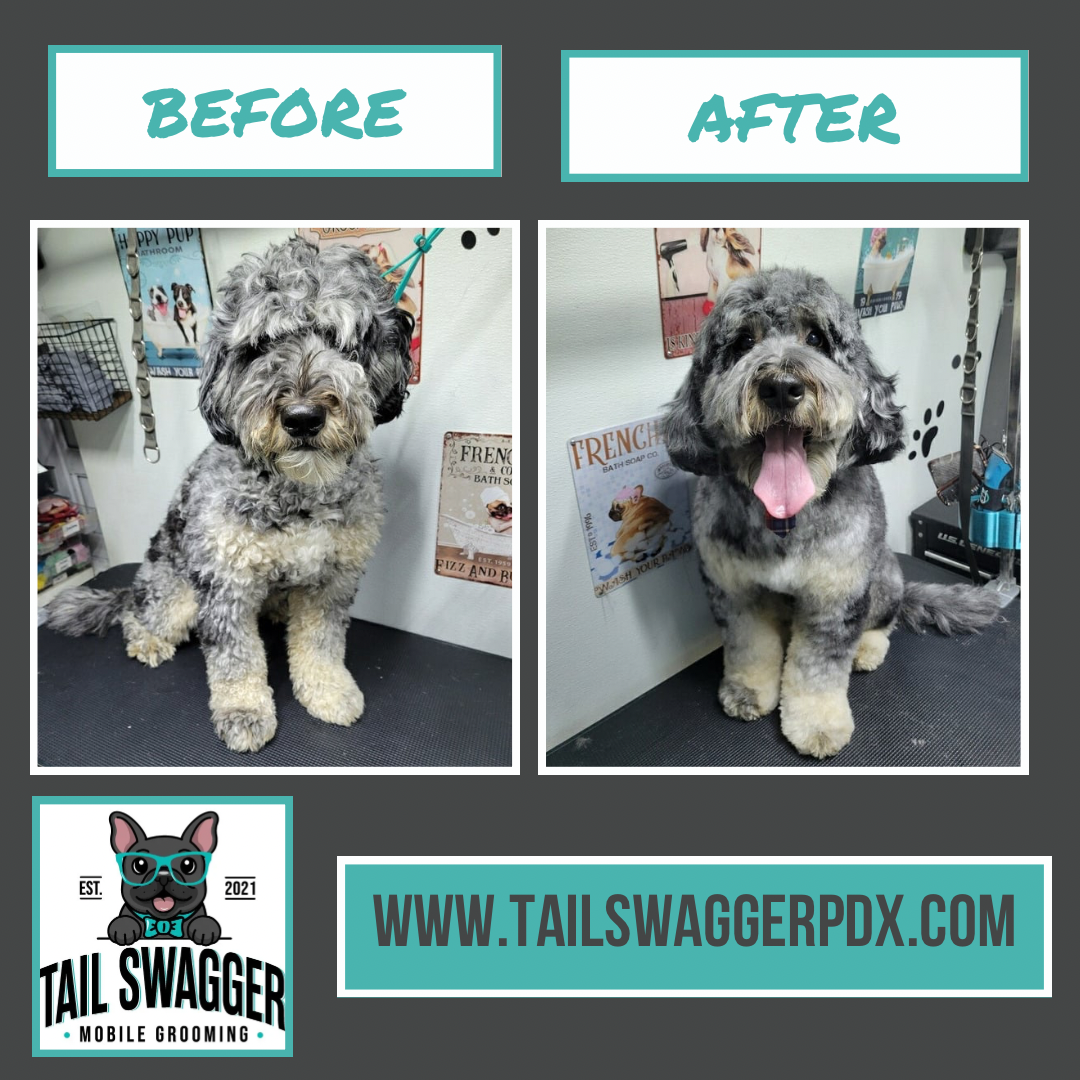 Before/After — Tail Swagger