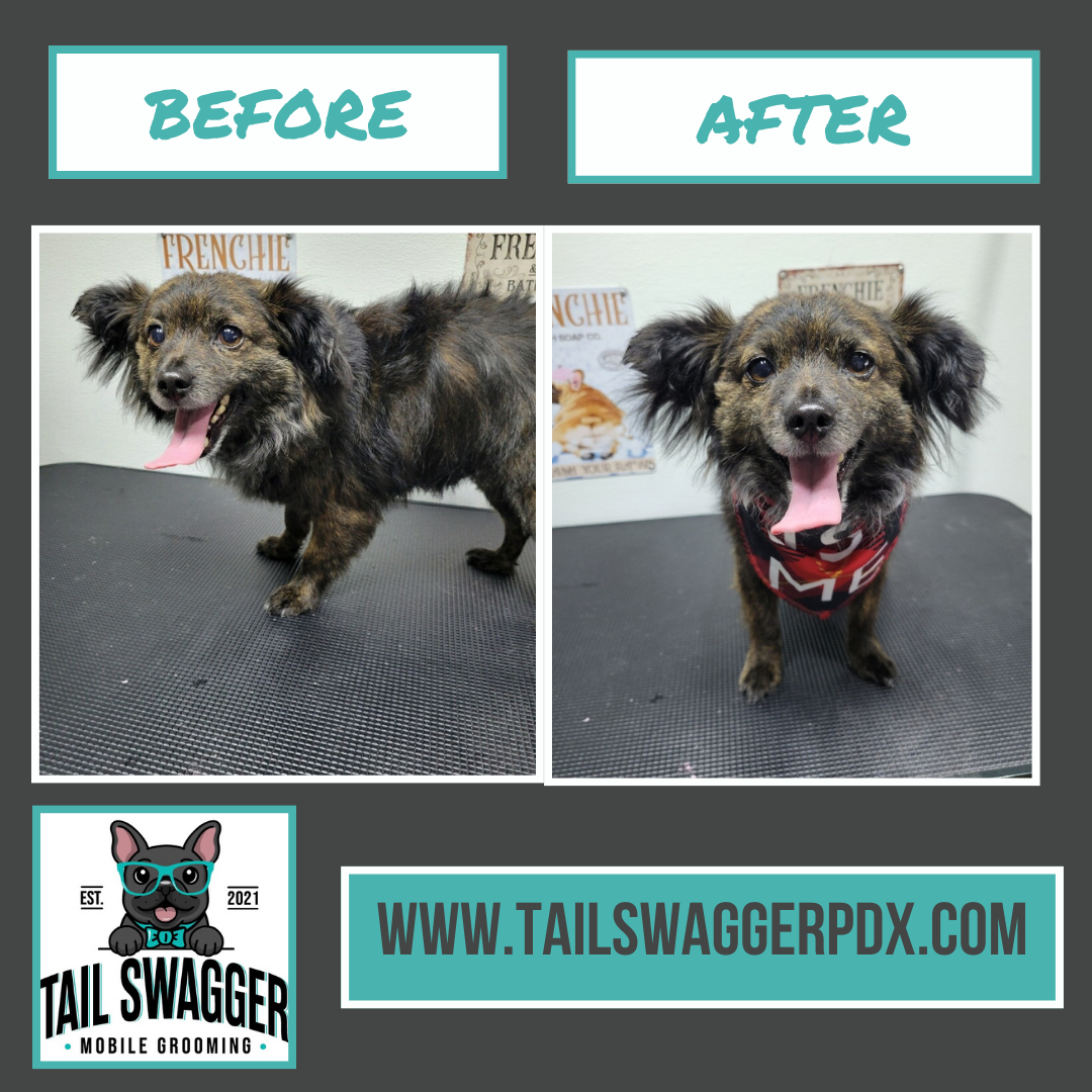 Before/After — Tail Swagger