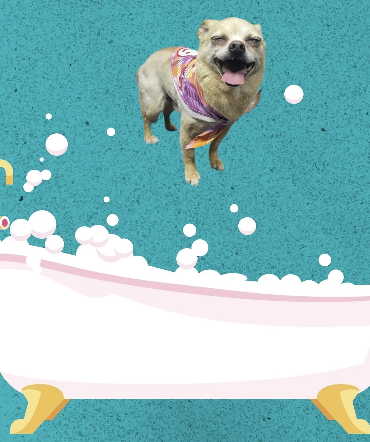 Services — Tail Swagger