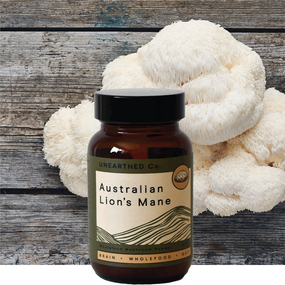 Australian Lion's Mane — Unearthed Medicinals