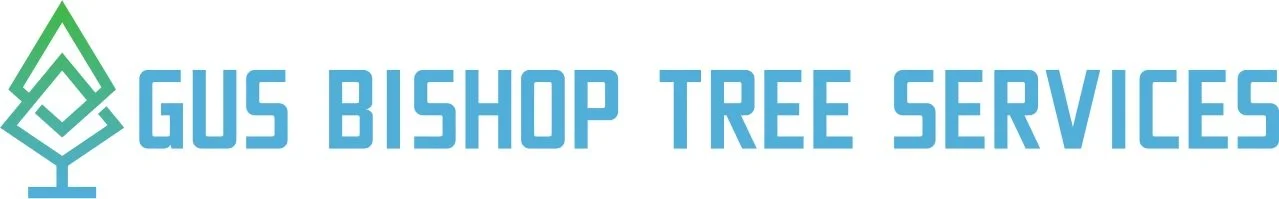 Tree Surgeon York | Expert Tree Services – Gus Bishop Tree Services