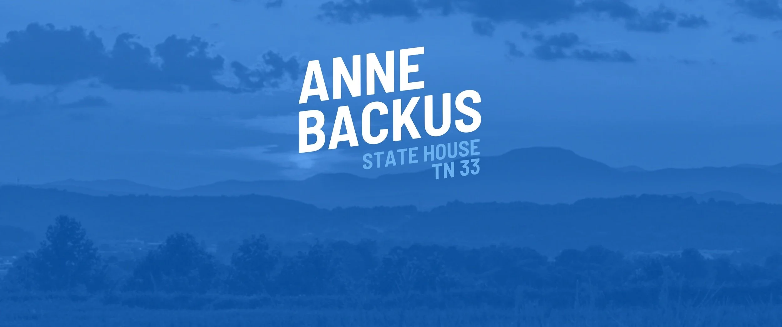 Anne Backus for State House (TN 33)