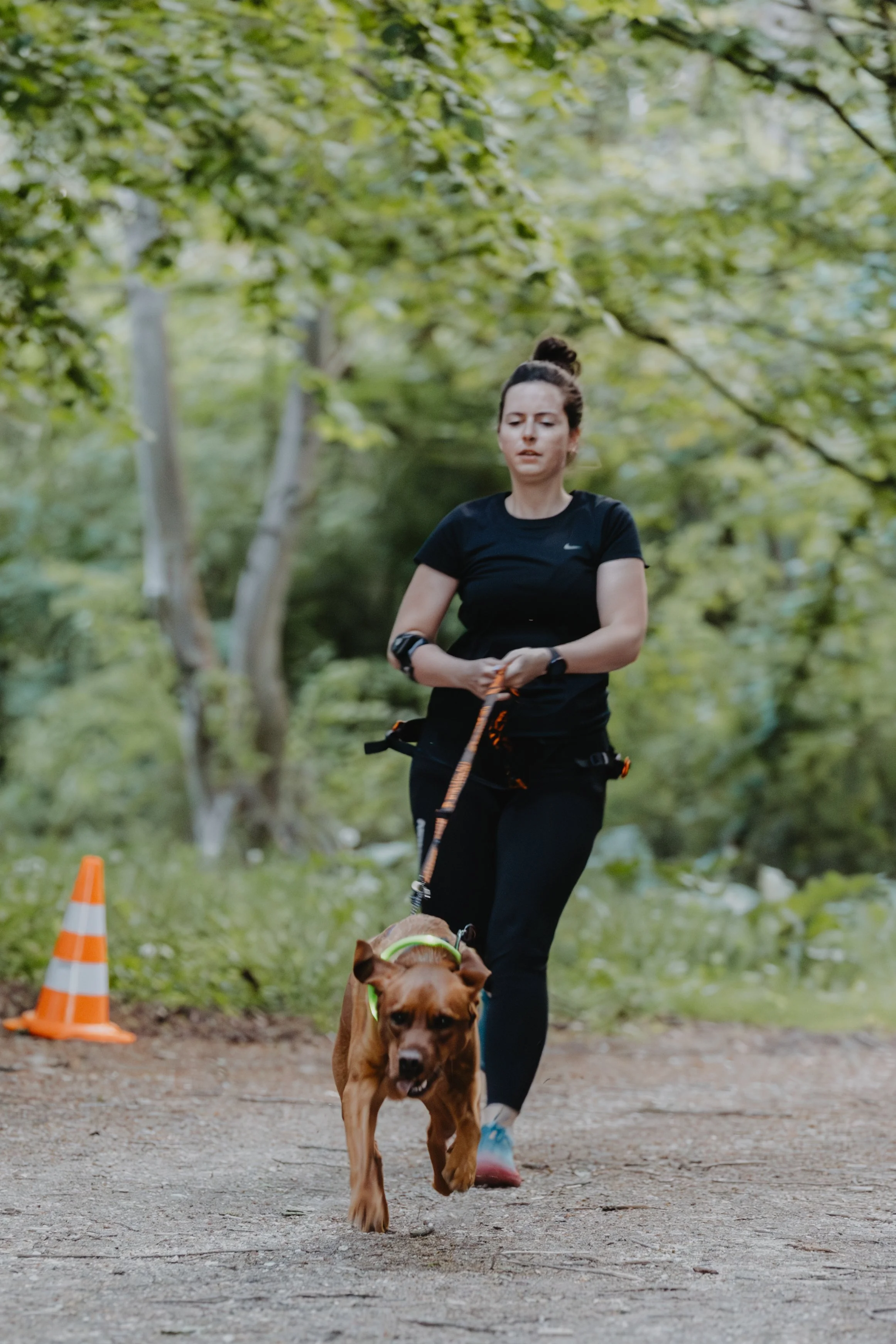 Pfotenglück Zughundesport