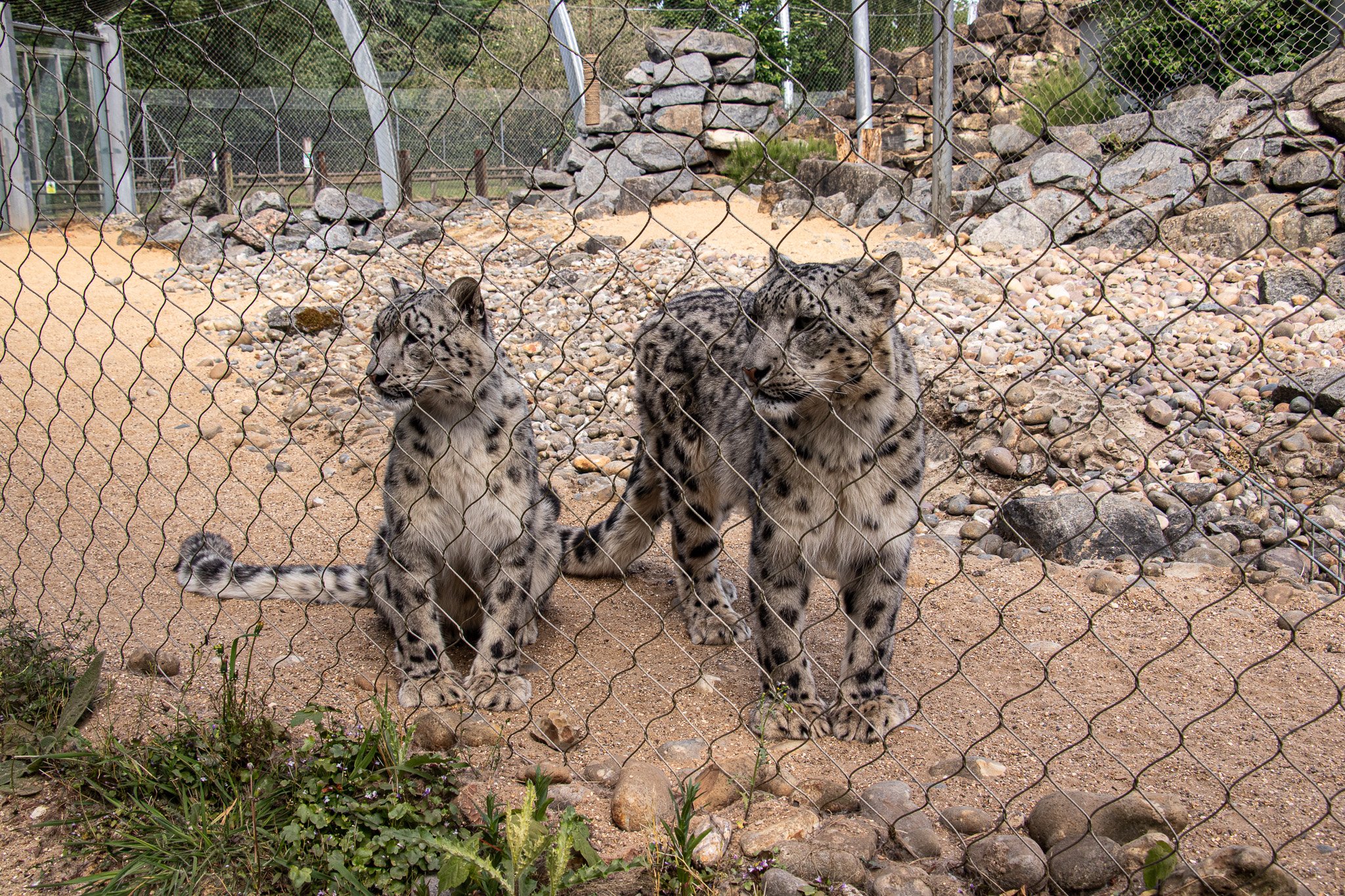 Specialist Wildlife Structures — Jordan Metalwork