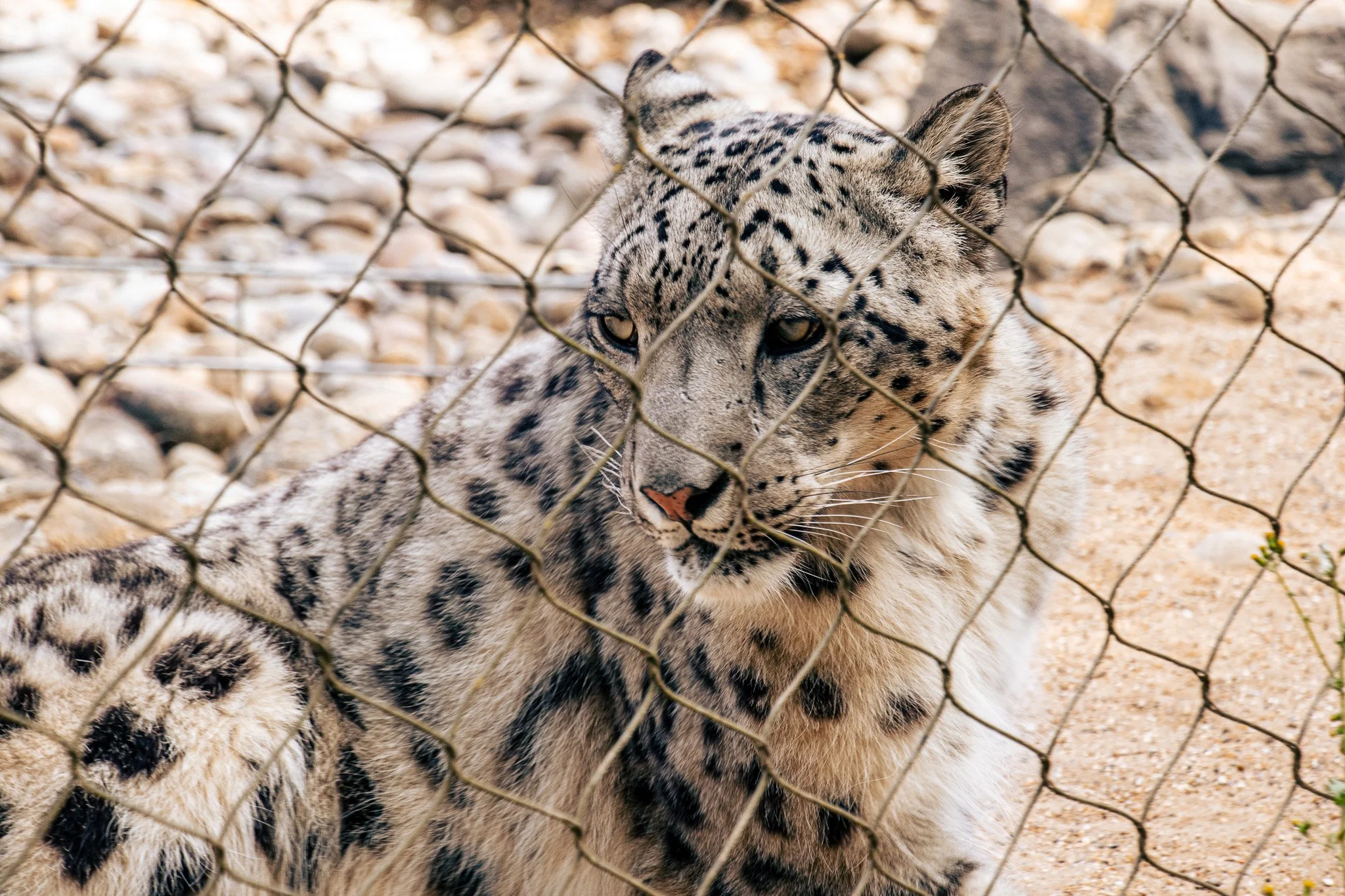 Specialist Wildlife Structures — Jordan Metalwork