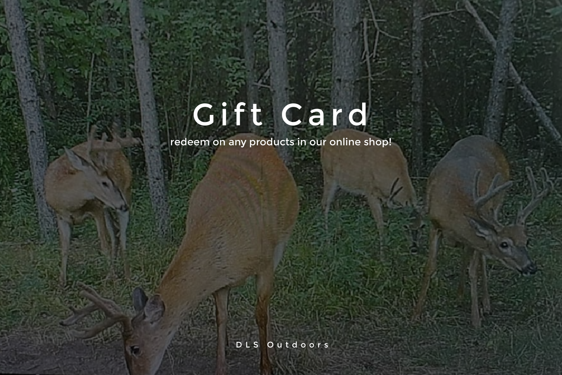 Gift Card — DLS Outdoors