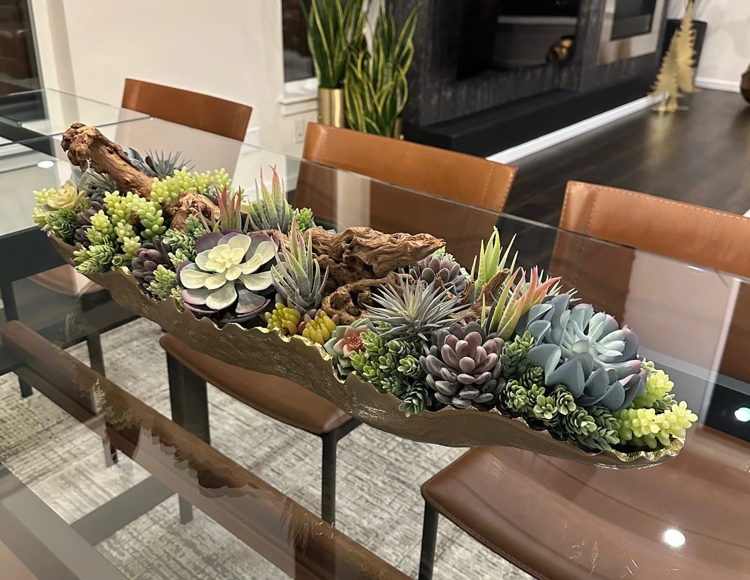 Succulent Designs by Abel Magana