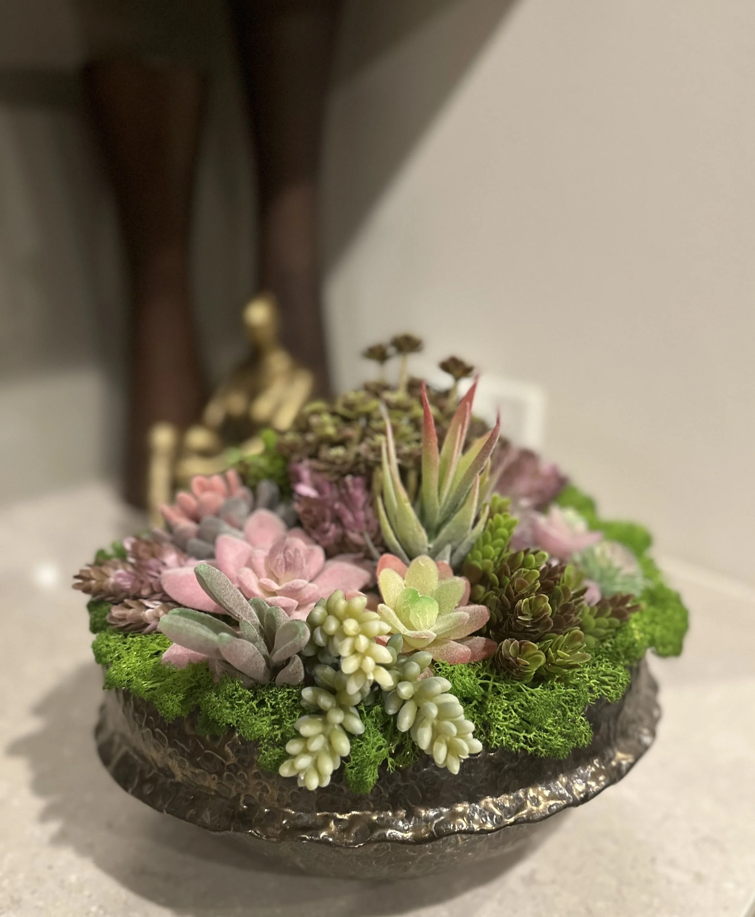 Contact me — Succulent Designs by Abel Magana