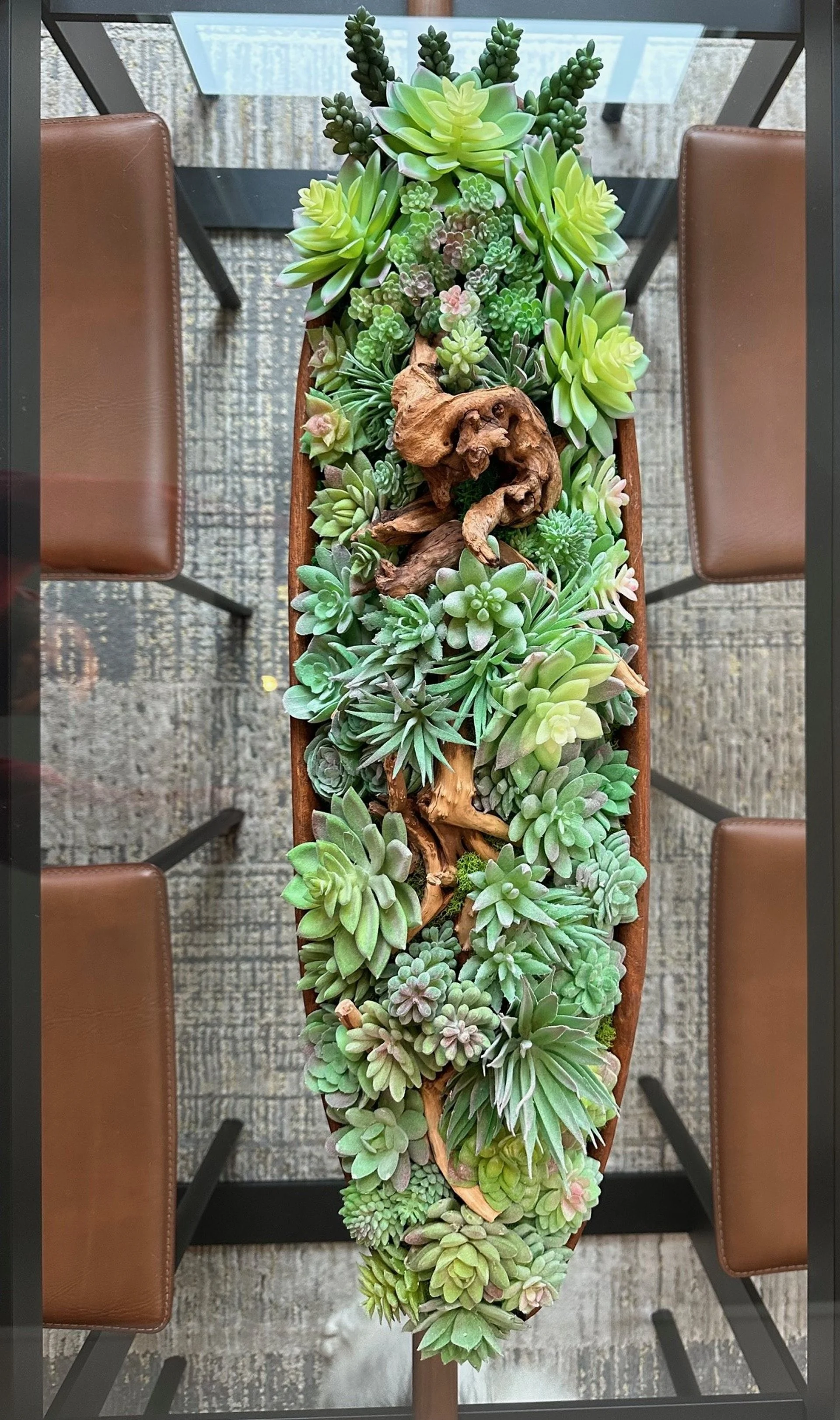 Succulent Designs by Abel Magana