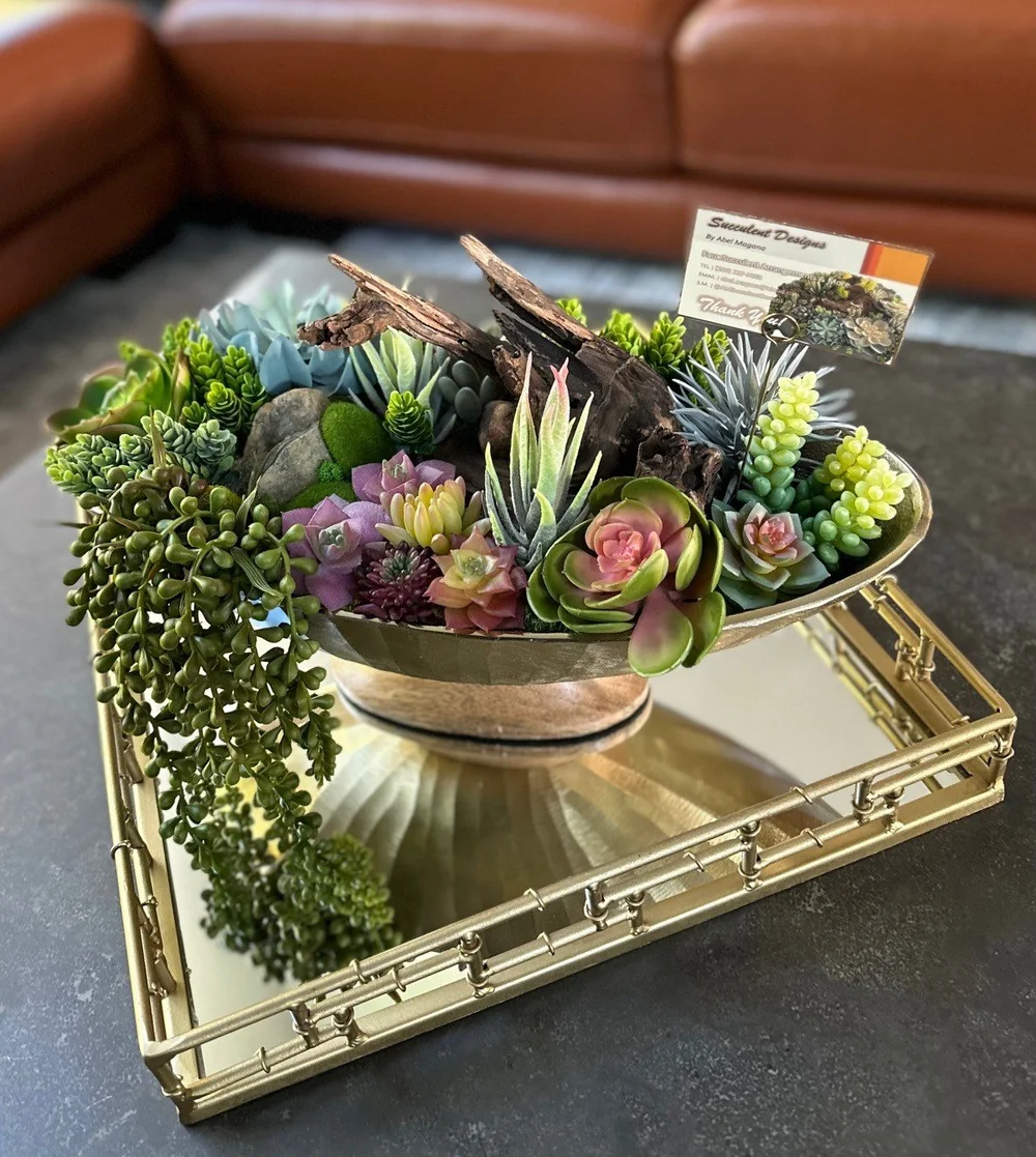Discover the elegance of succulent arrangements!