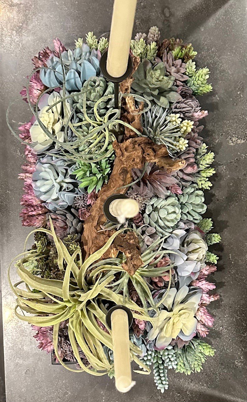 Succulent Designs by Abel Magana