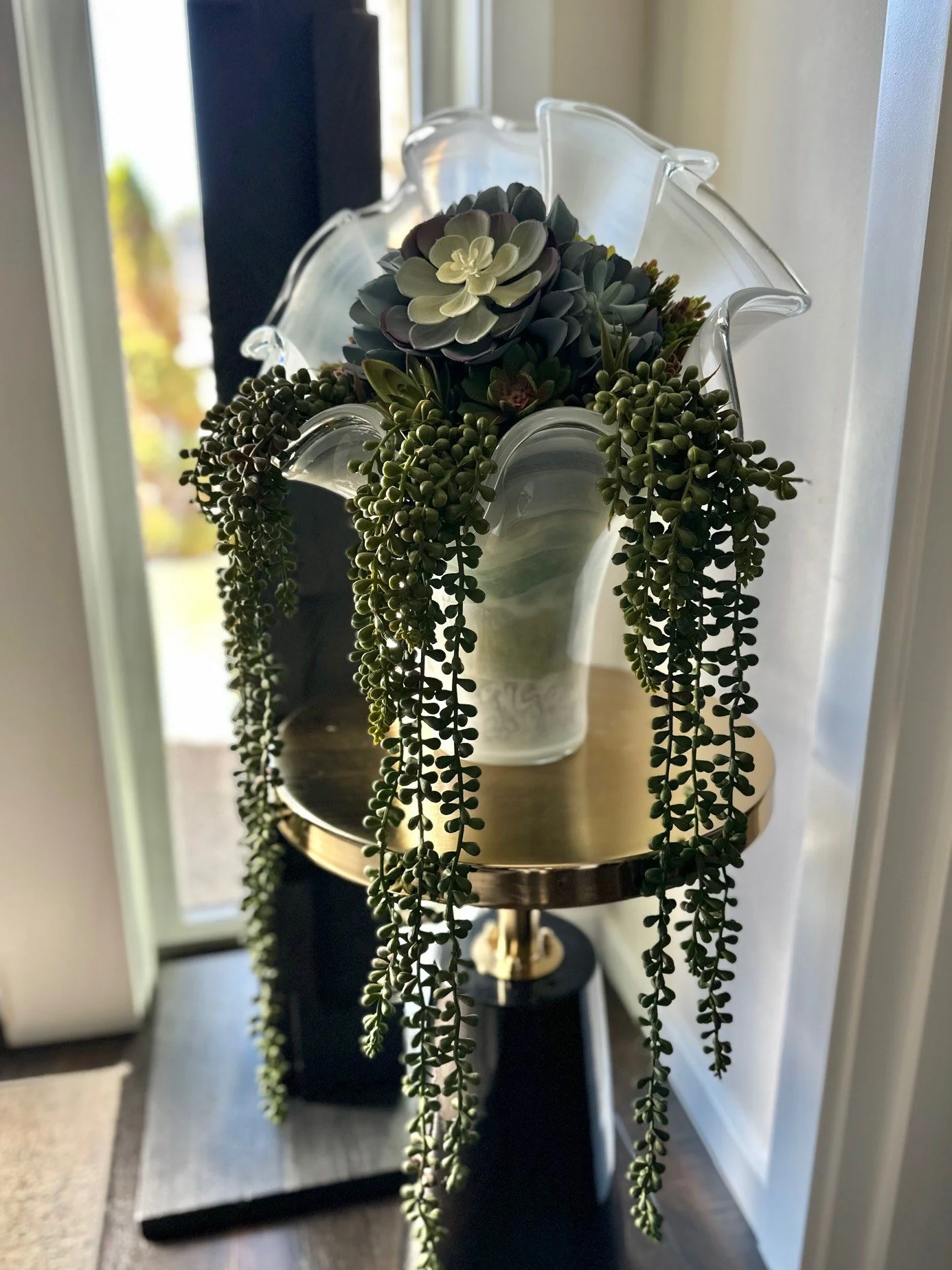 Contact me — Succulent Designs by Abel Magana