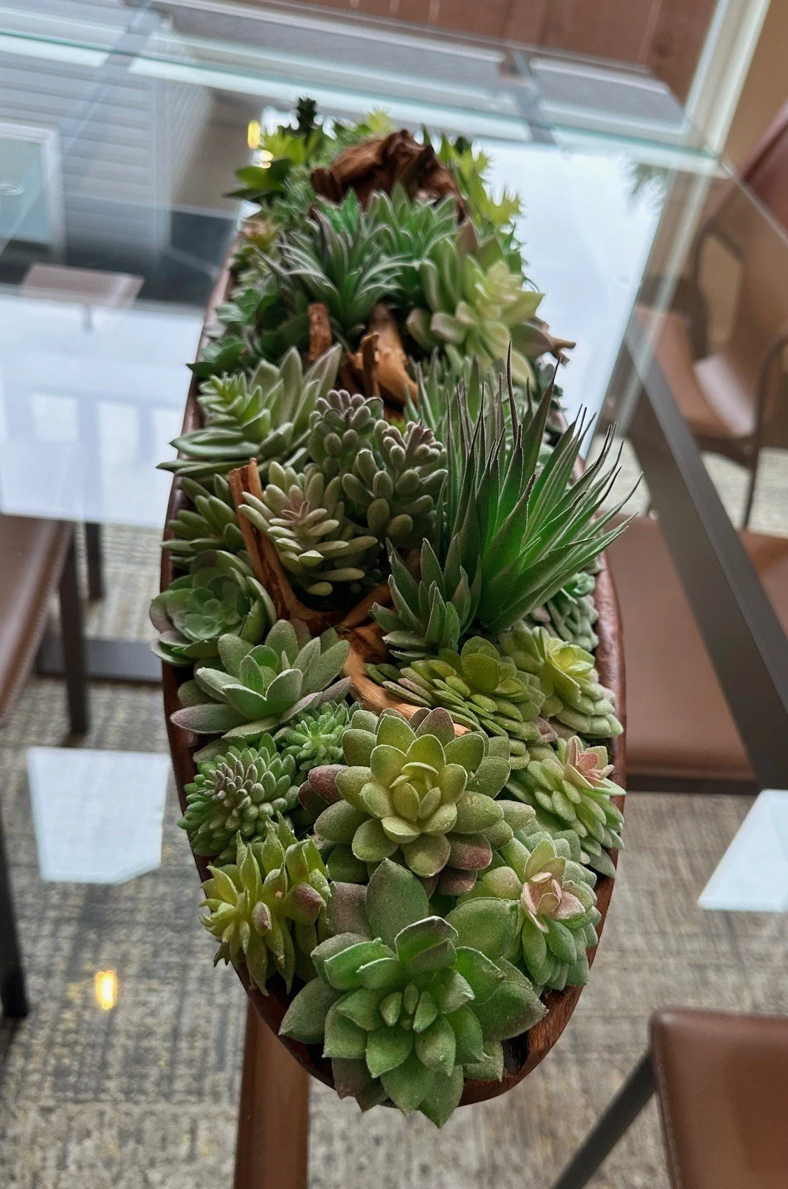 Discover the elegance of succulent arrangements!