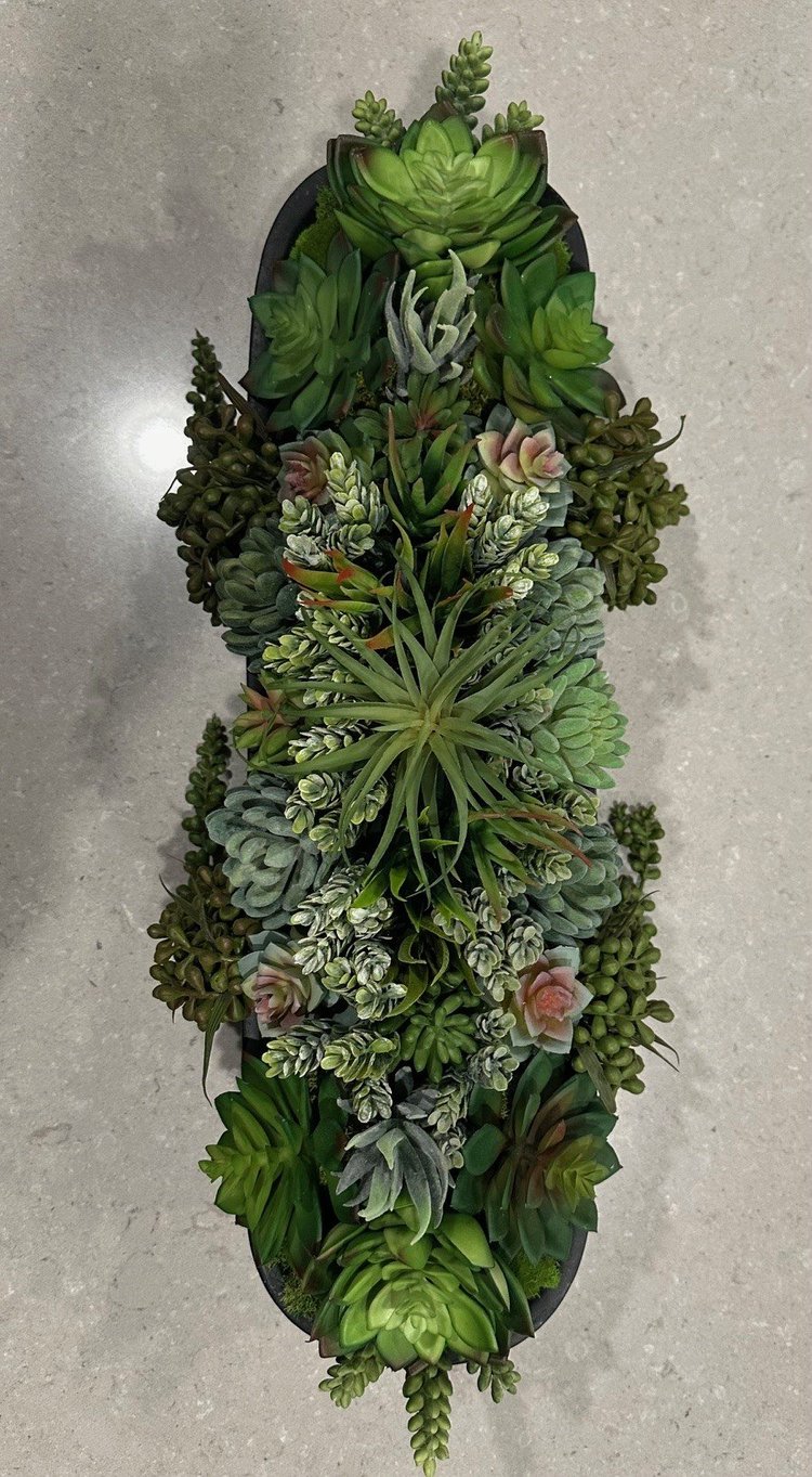 Discover the elegance of succulent arrangements!