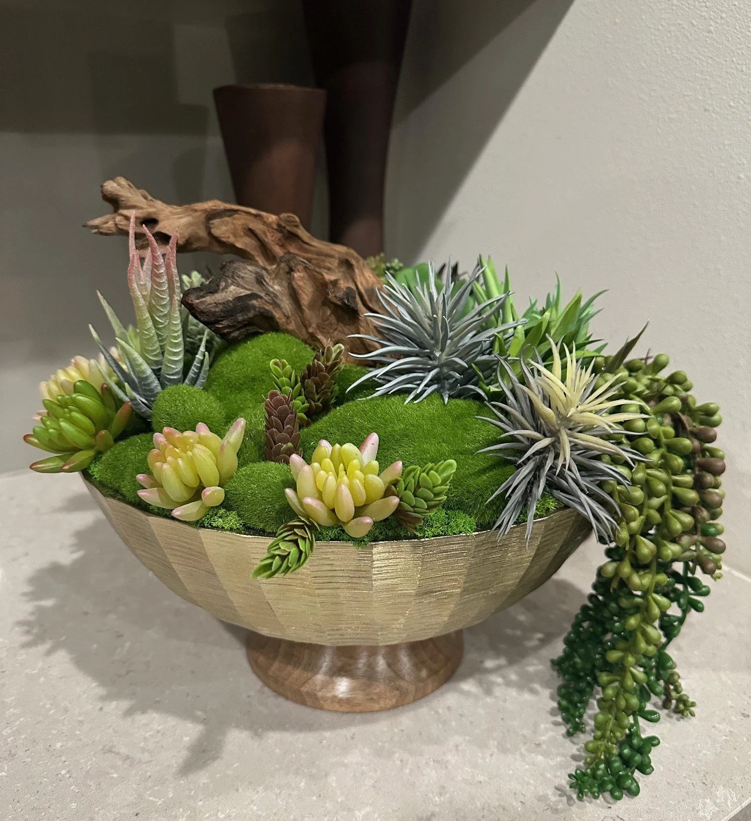 Contact me — Succulent Designs by Abel Magana
