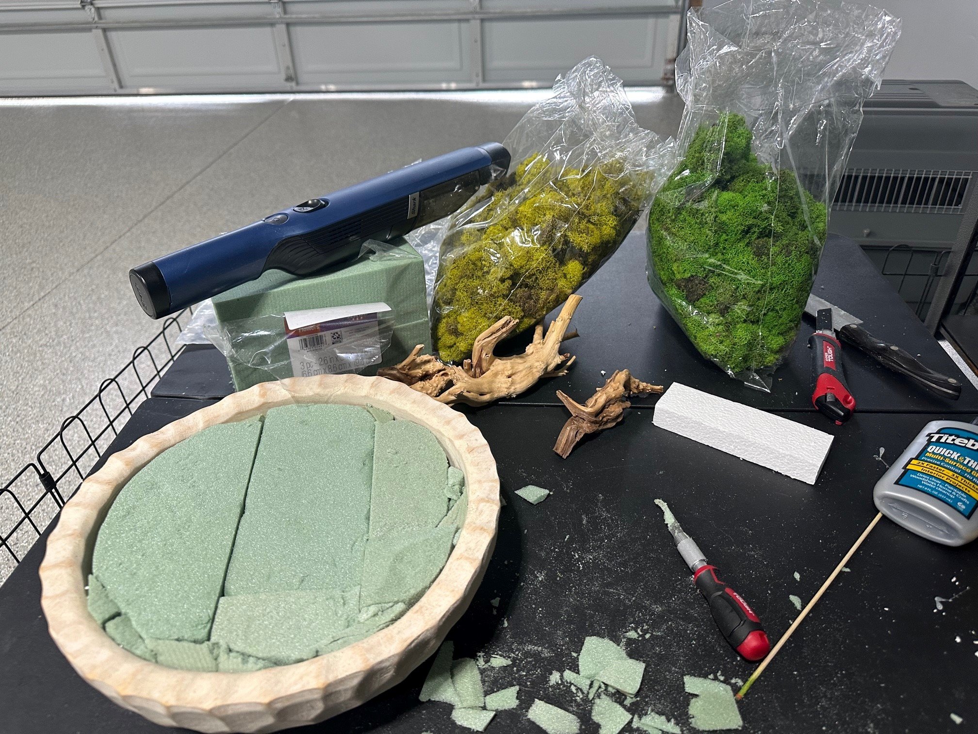 Succulent Designs by Abel Magana