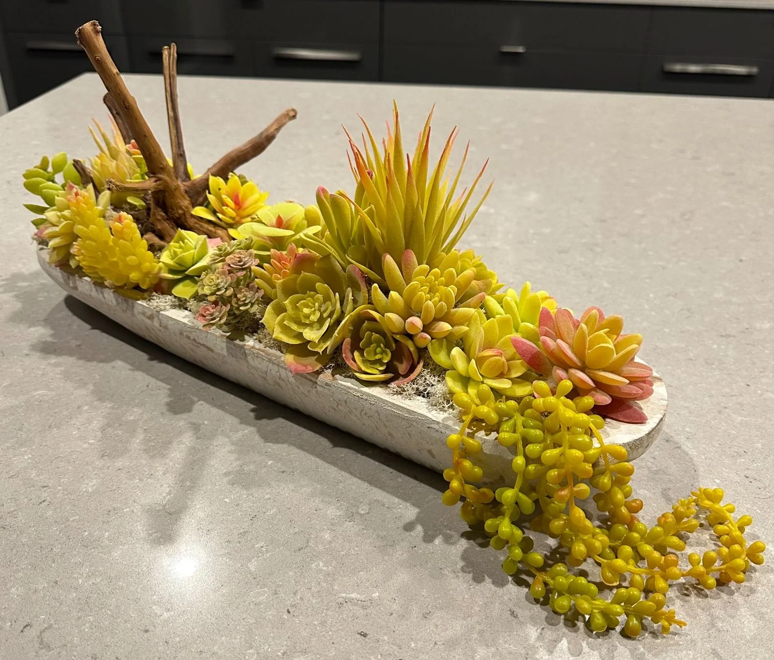 Contact me — Succulent Designs by Abel Magana