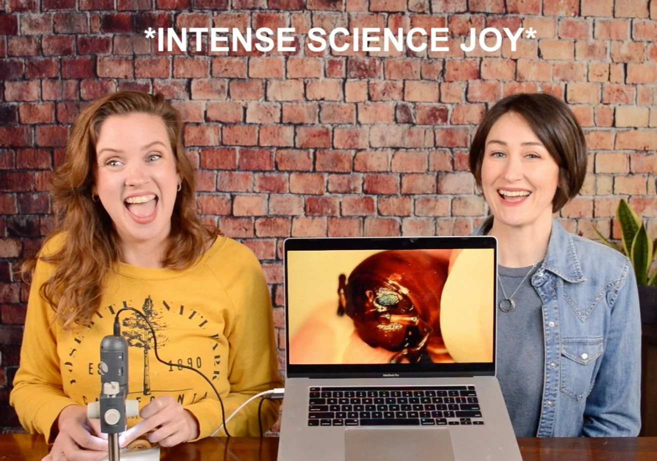 Free Web Series- A Different View — The Bug Chicks