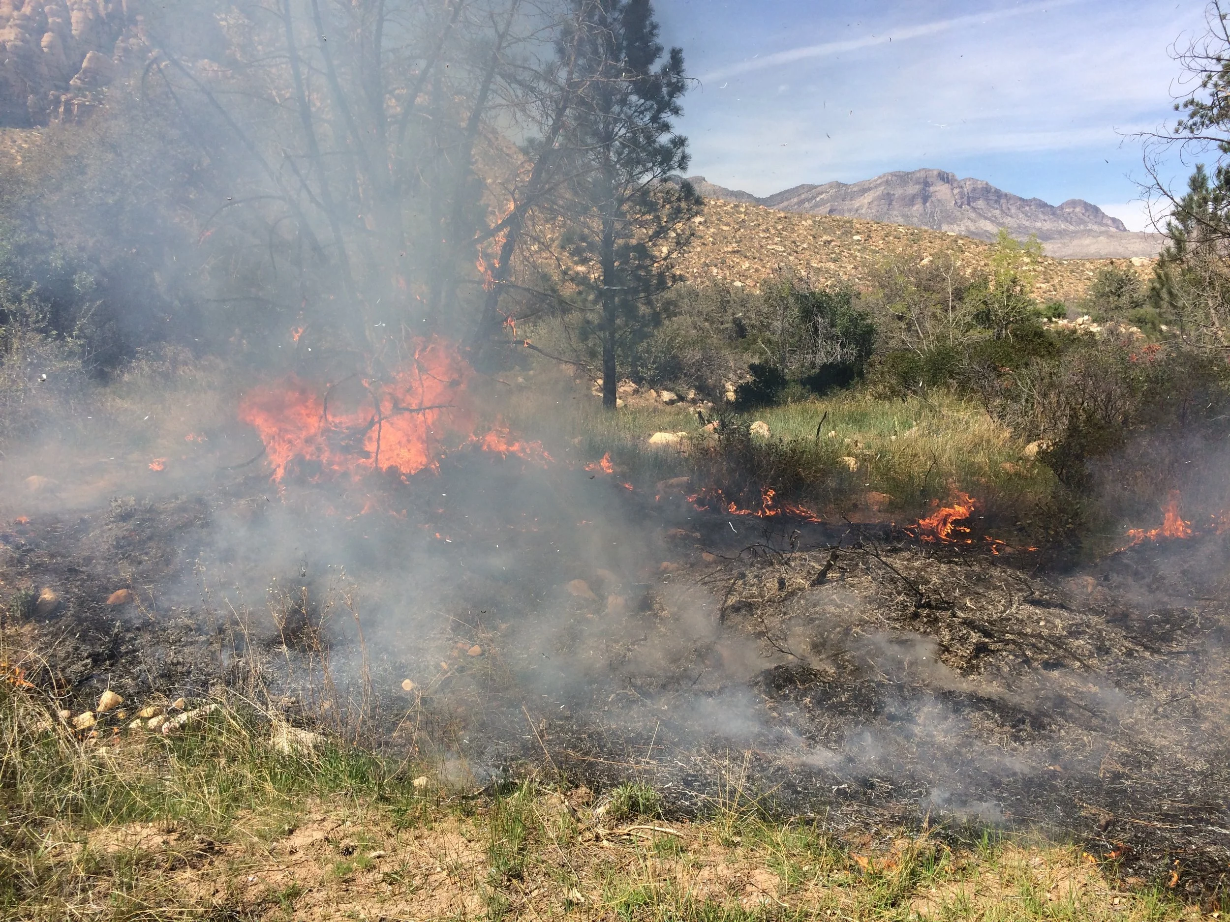 Serial Arson Training — Serial Wildland Arson Investigation Training