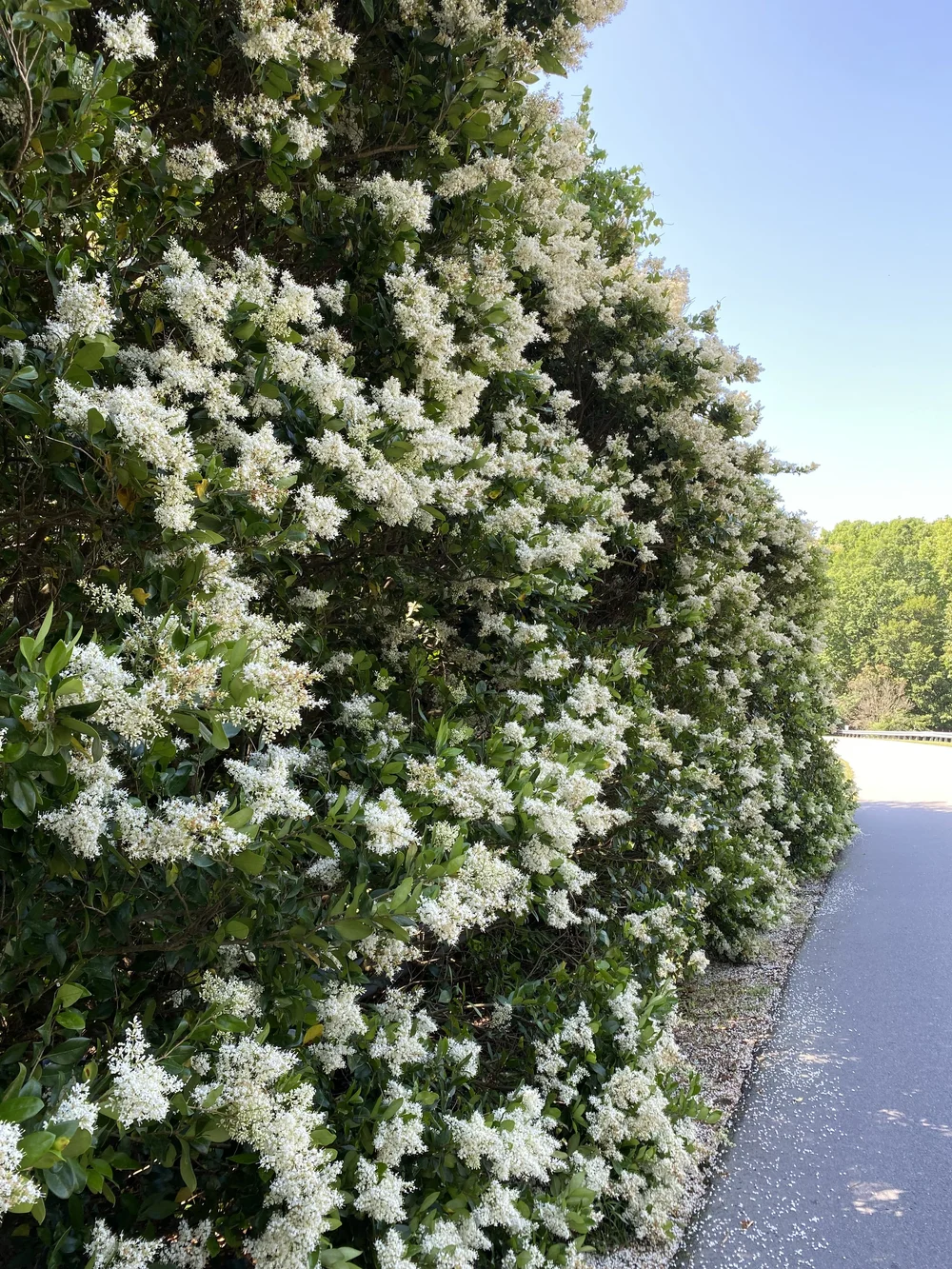 Ordinary Wonder Woman Blog — Kathy Egan, Author