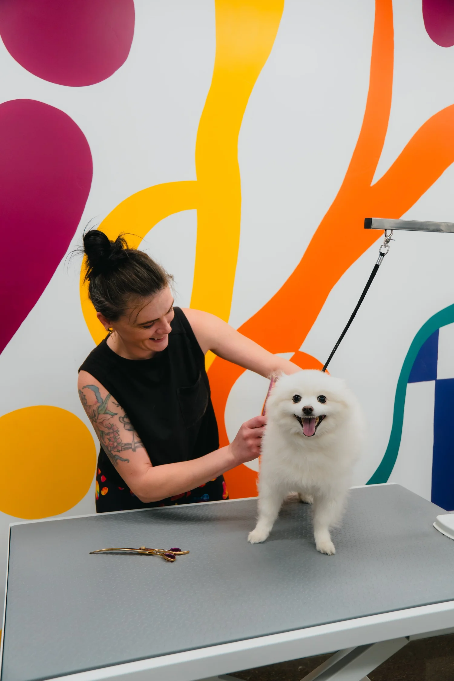 Dog & Cat Grooming — Whisker & Bone