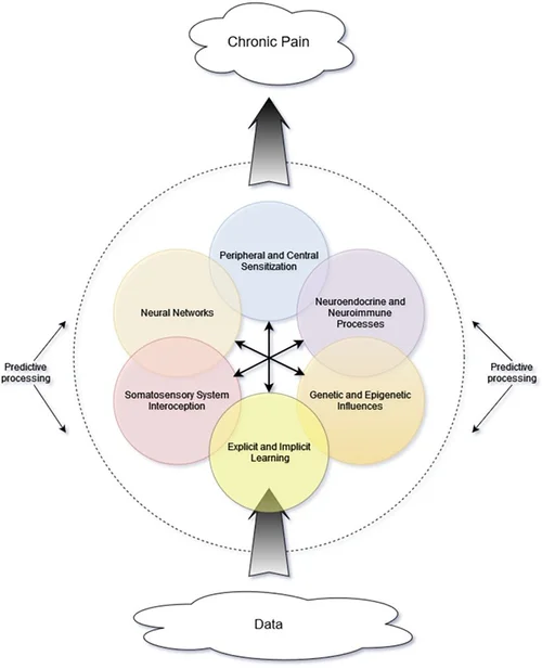 Chronic Pain as Part of a Complex System - it's not just physical. — Dr ...
