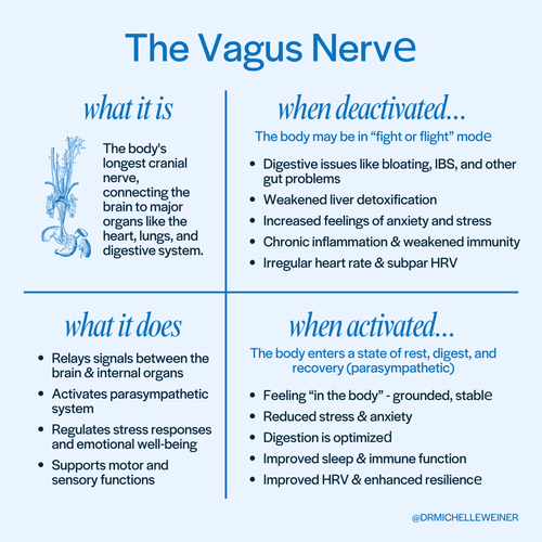 How Vagus Nerve Stimulate Can Help Pain, Depression, and More — Dr ...