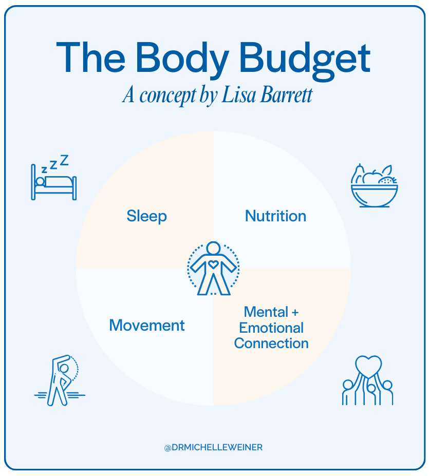 Understanding Your Body Budget — Dr. Michelle Weiner at NeuroPain Health
